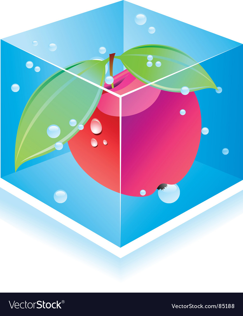 Apple inside ice cube Royalty Free Vector Image
