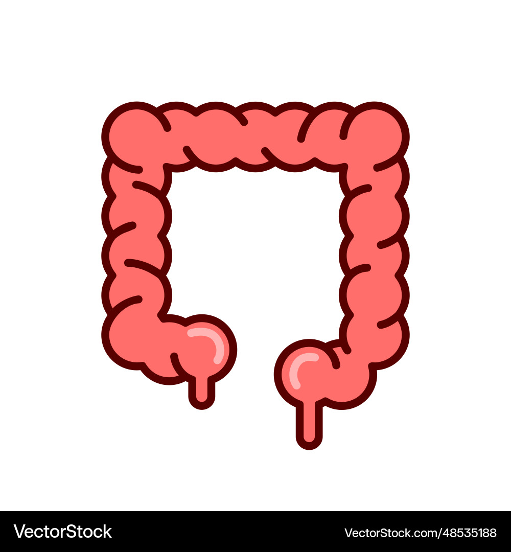 Human large intestine icon design template Vector Image