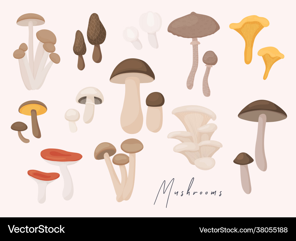 Large mushroom set in flat design isolated Vector Image