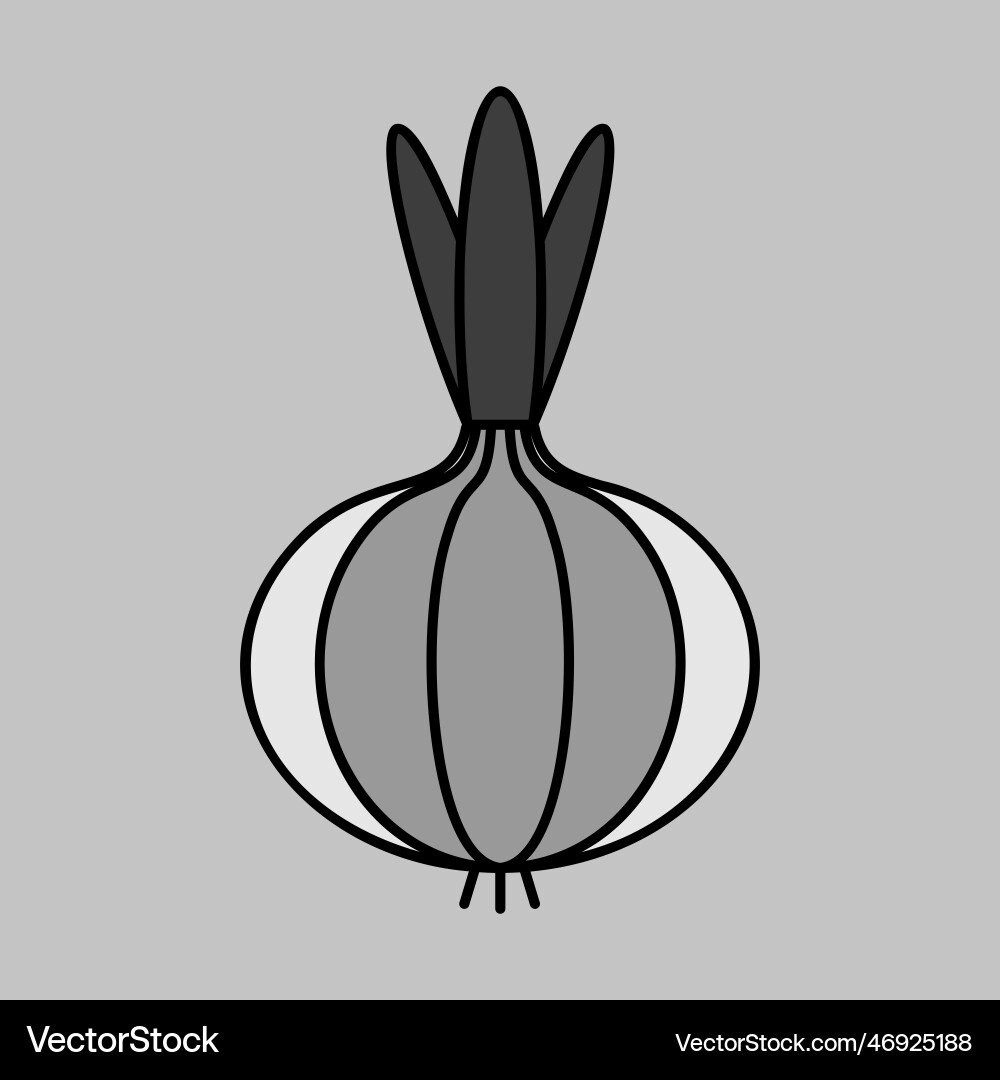 Onion isolated design icon vegetable sign Vector Image