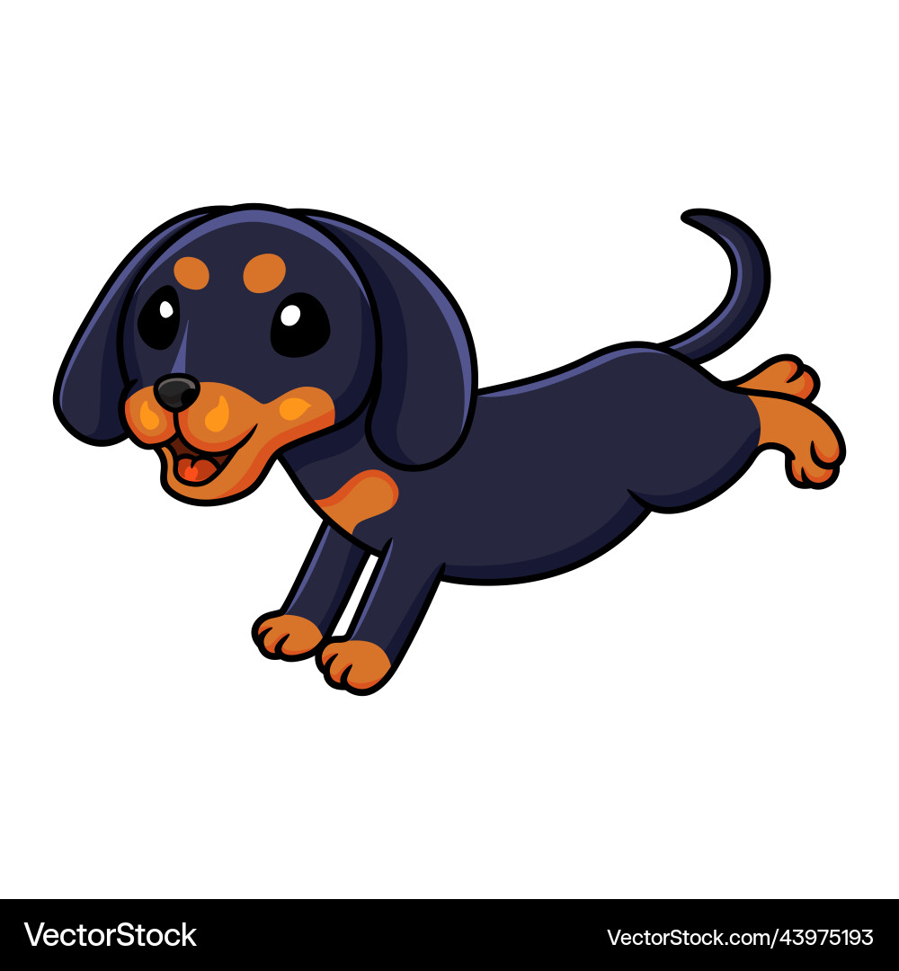 Cute dashund dog cartoon running Royalty Free Vector Image