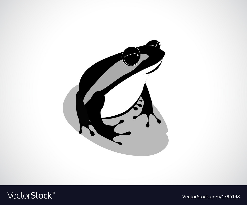 Frog Royalty Free Vector Image - VectorStock