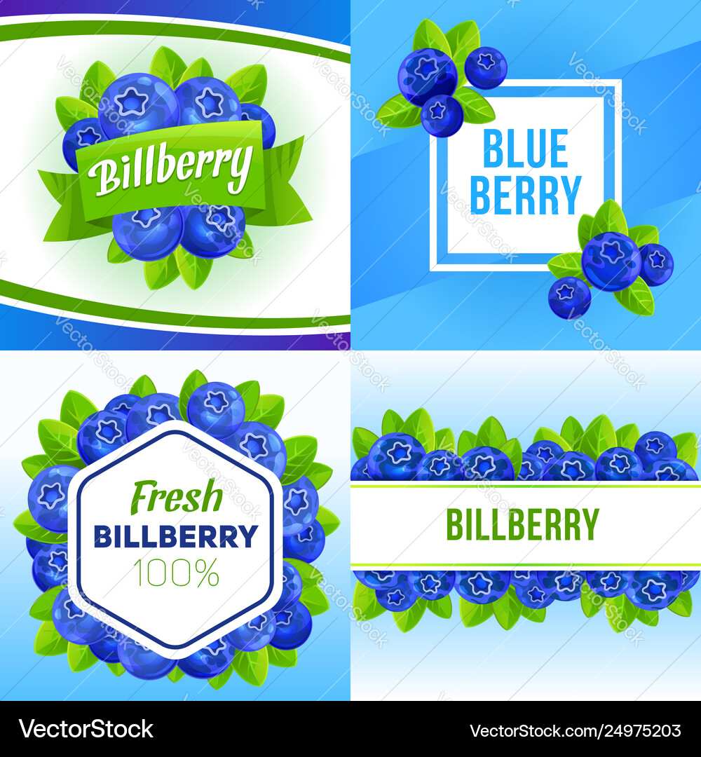 Bilberry banner set cartoon style Royalty Free Vector Image