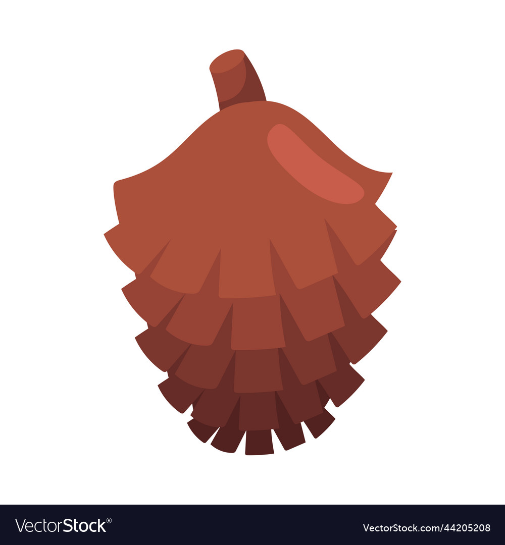 Pine nut seed Royalty Free Vector Image - VectorStock