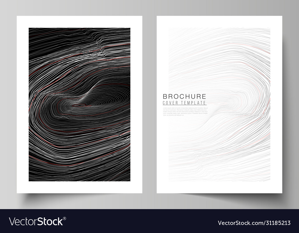 Layout a4 format modern Royalty Free Vector Image