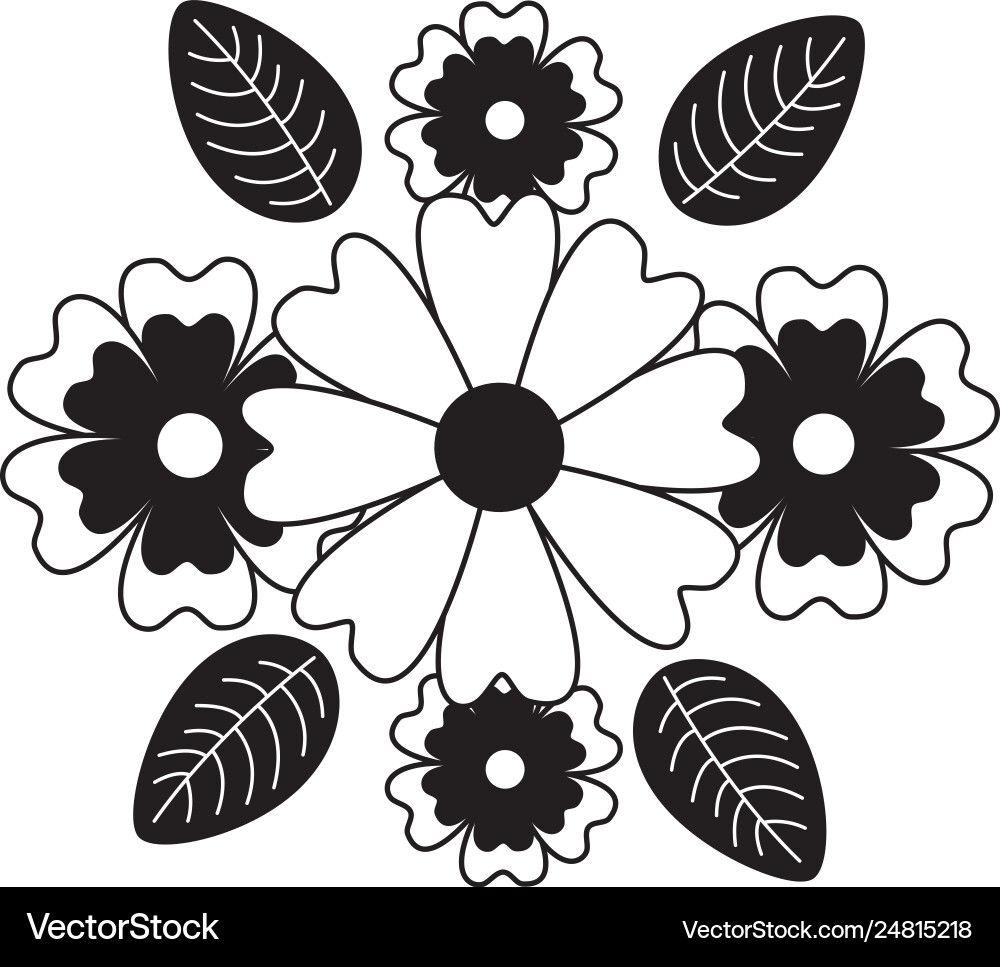 Arrangement floral flowers Royalty Free Vector Image
