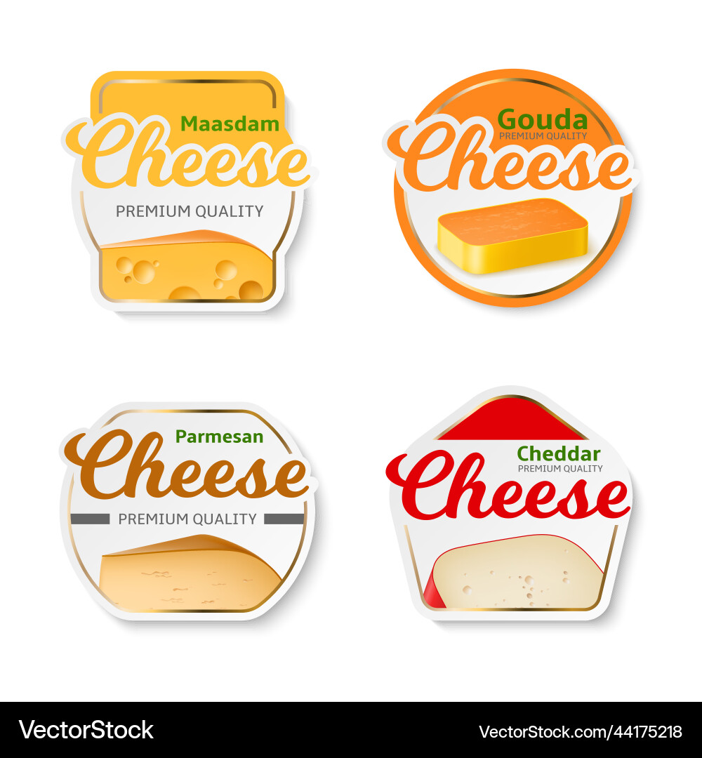 Realistic cheese labels different shapes product Vector Image