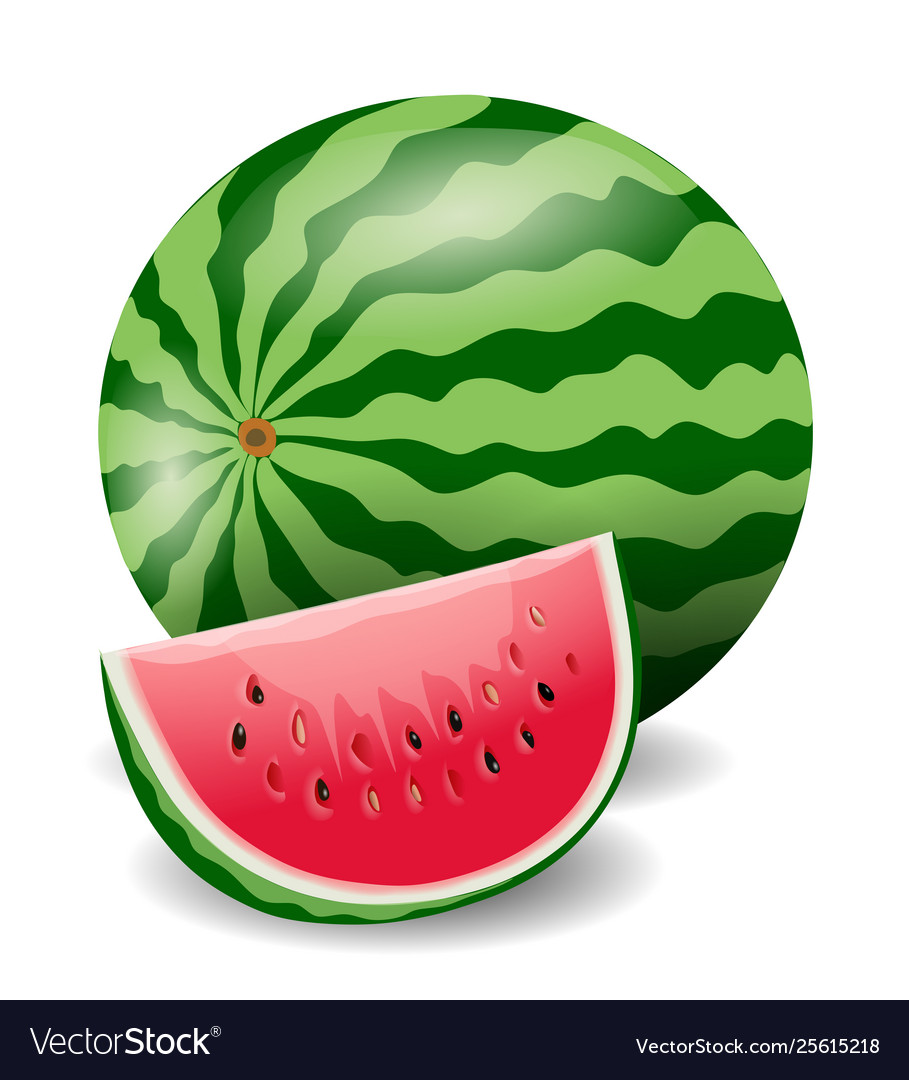 Watermelon Royalty Free Vector Image - VectorStock
