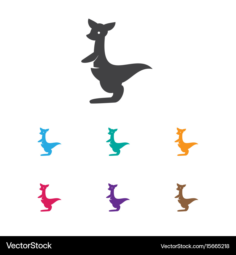 Zoo symbol on wallaby icon Royalty Free Vector Image