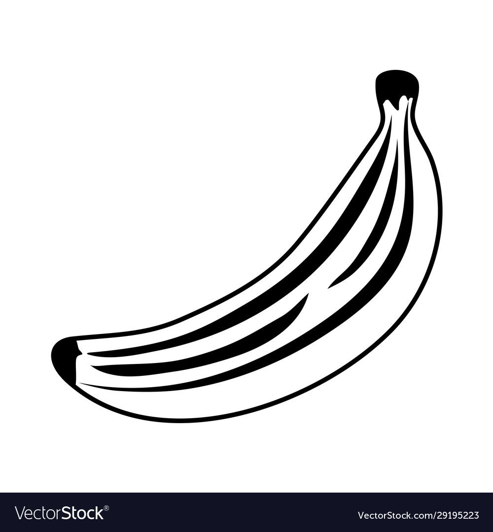 Fresh banana fruit isolated icon Royalty Free Vector Image