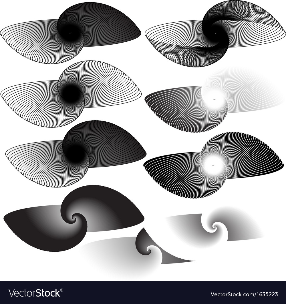 Snail shell Royalty Free Vector Image - VectorStock