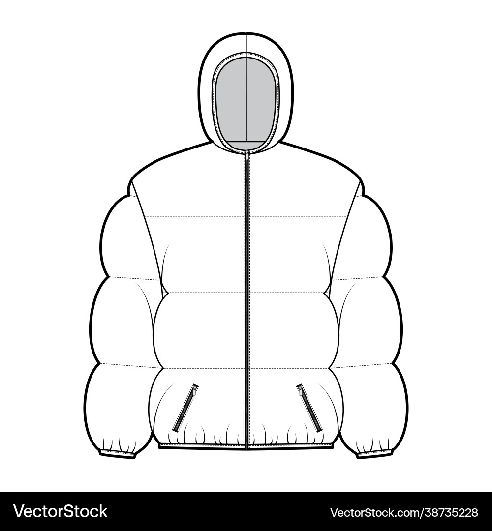 Hooded jacket down puffer coat technical fashion Vector Image