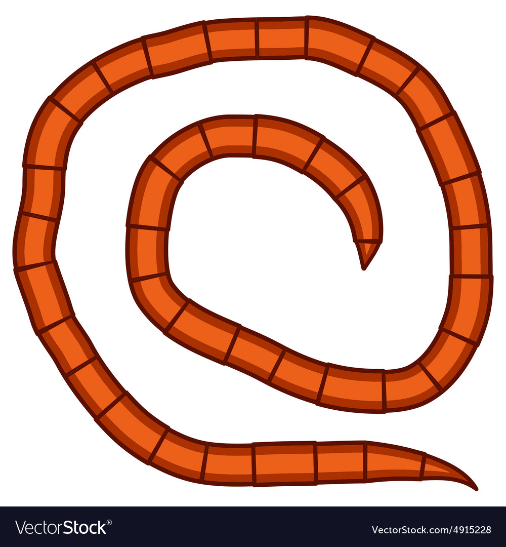 Worm Royalty Free Vector Image - VectorStock