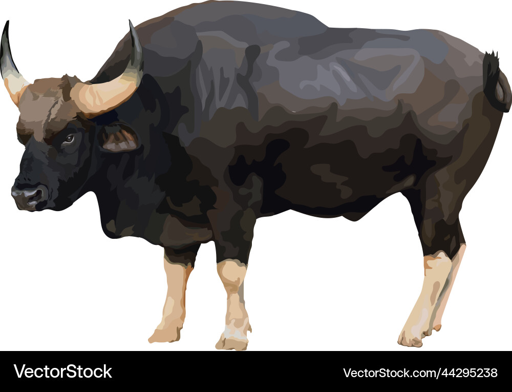 Bull vintage hand-drawn sketch Royalty Free Vector Image