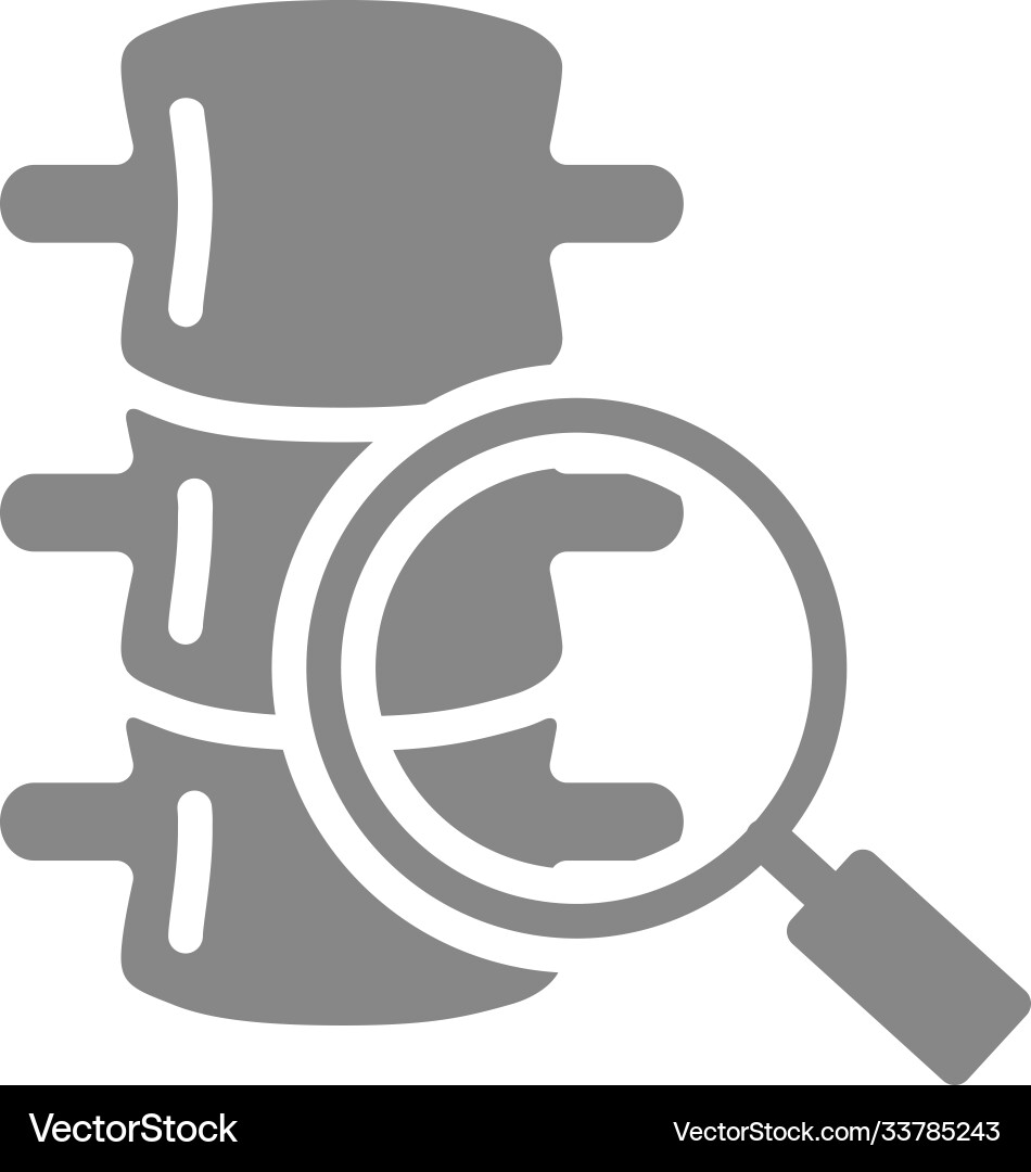 Spine with magnifying glass grey icon vertebrae Vector Image