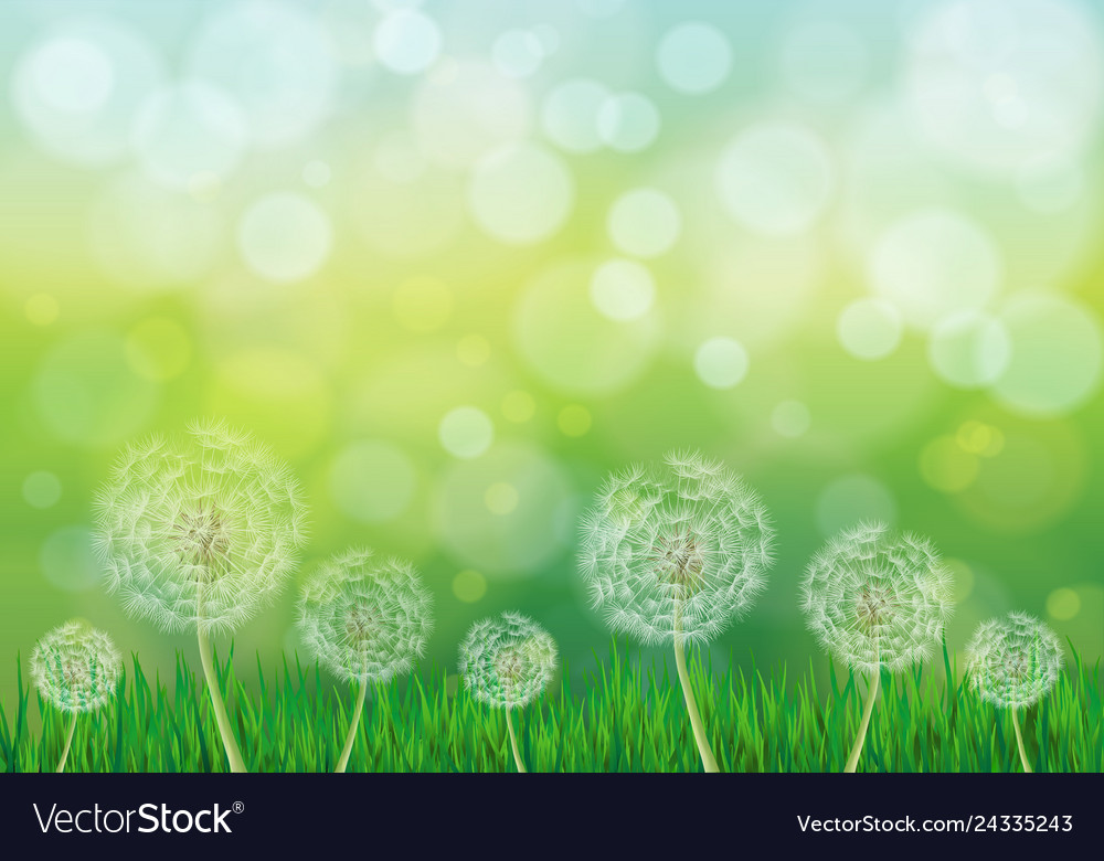 Spring green background Royalty Free Vector Image Spring green background Royalty Free Vector Image