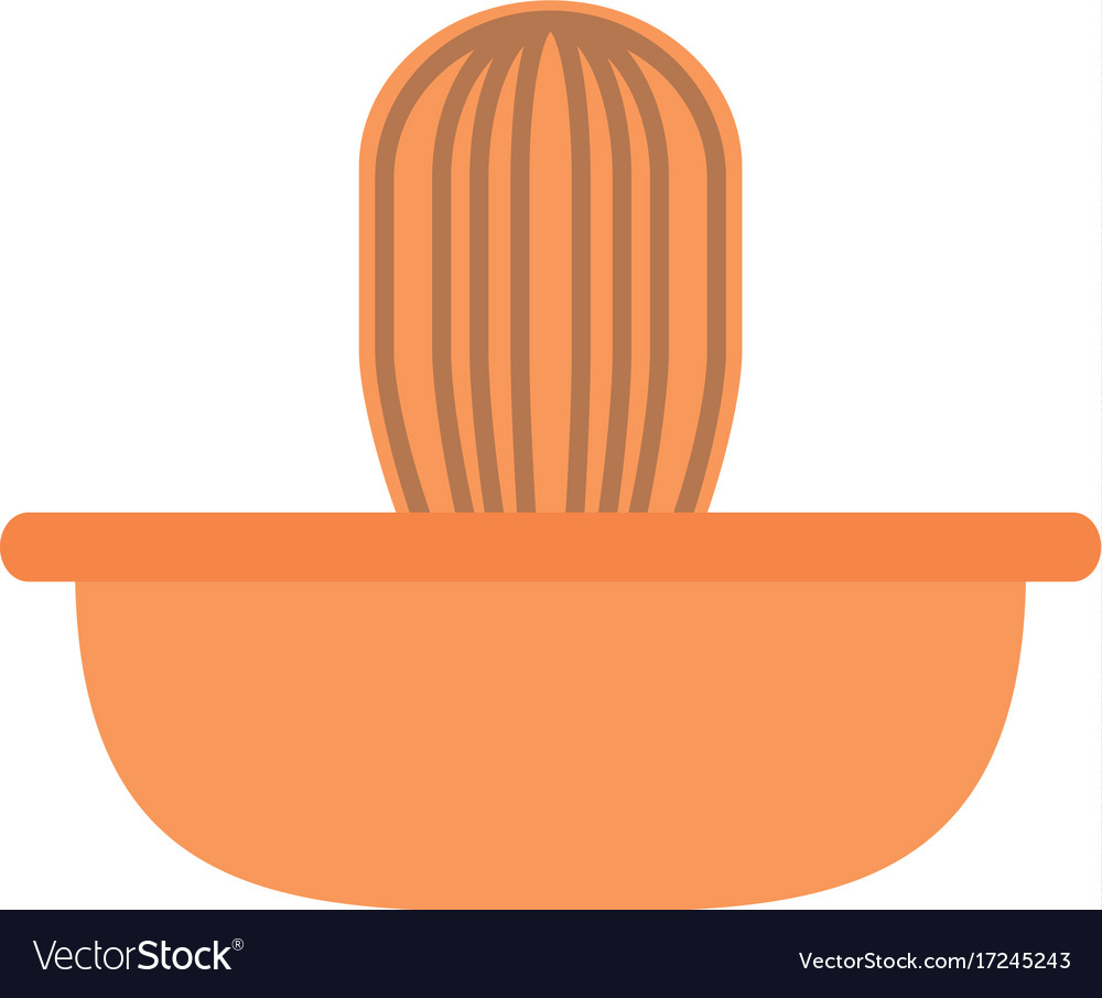 Squeezer Royalty Free Vector Image - VectorStock