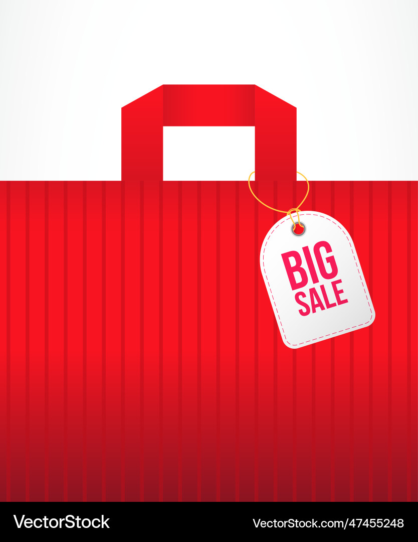 Big shopping sale Royalty Free Vector Image - VectorStock