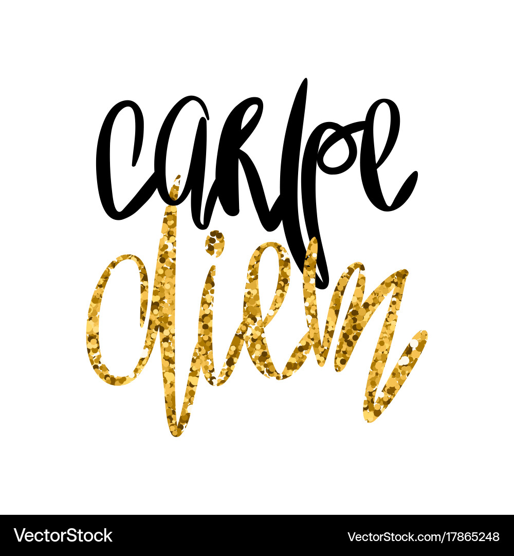 Carpe diem - poster with handdrawn lettering Vector Image