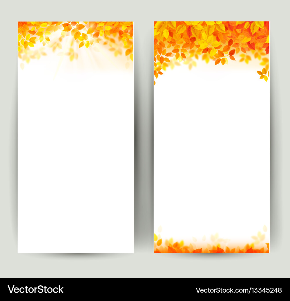 Set two nature banners with autumn leaves Vector Image