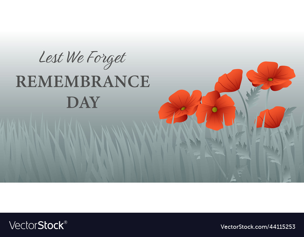 Remembrance day black white background with red Vector Image