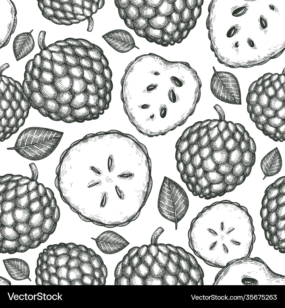 Hand drawn sketch style cherimoya seamless Vector Image