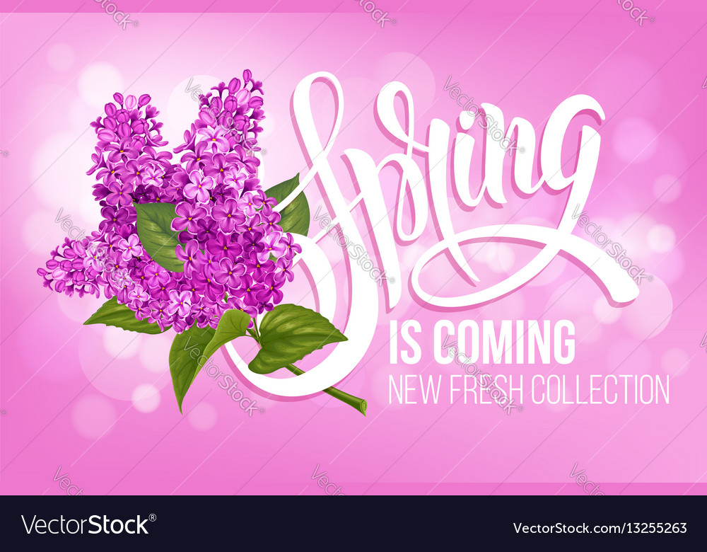 Spring is coming Royalty Free Vector Image - VectorStock