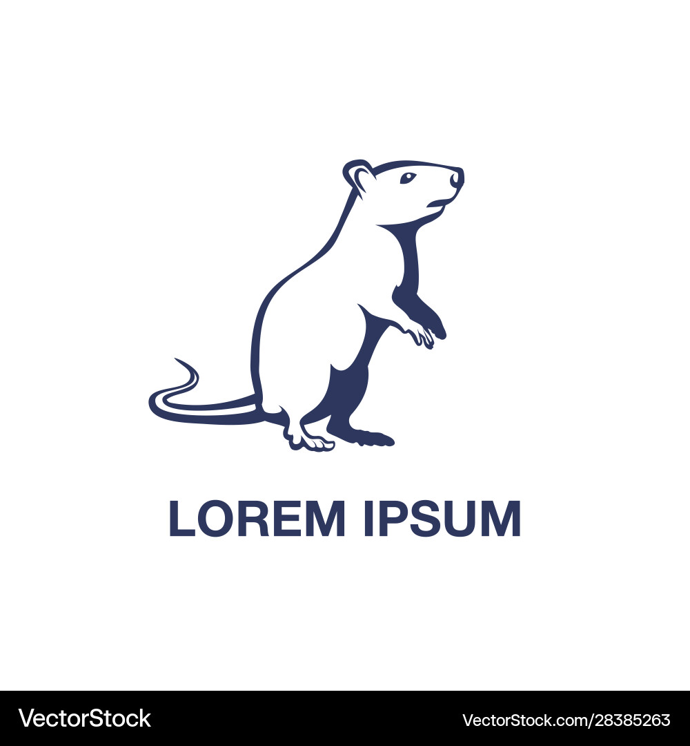 White standing rat on hind legs logo rat Vector Image