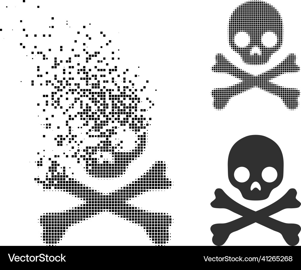Erosion pixel and original death skull icon Vector Image