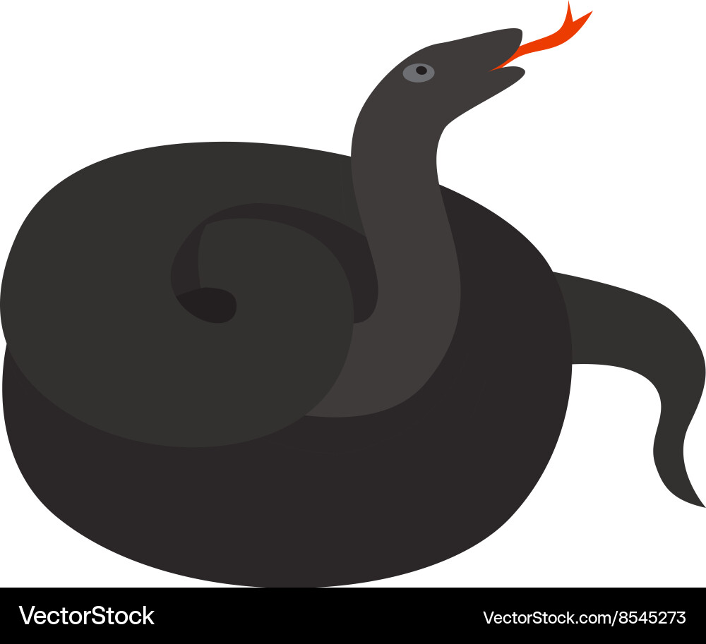 Black mamba uncoiled reptile ready to strike snake