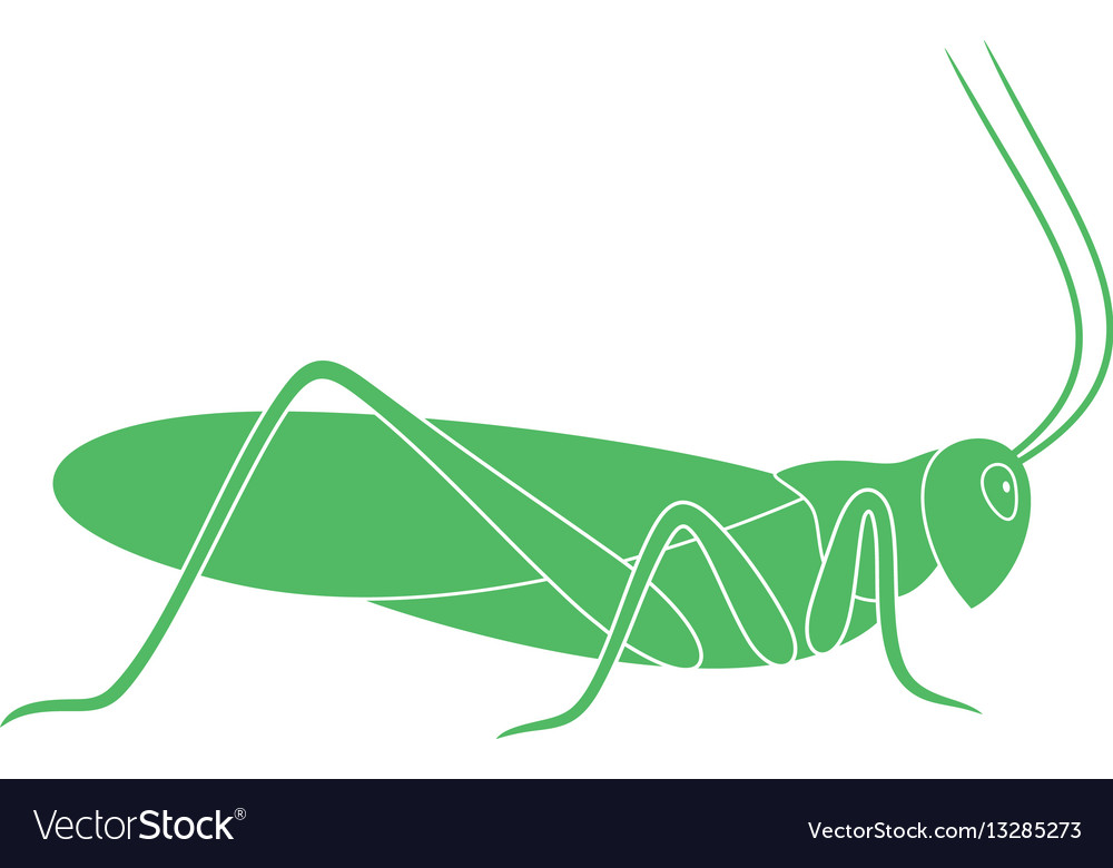 Grasshopper Royalty Free Vector Image - VectorStock