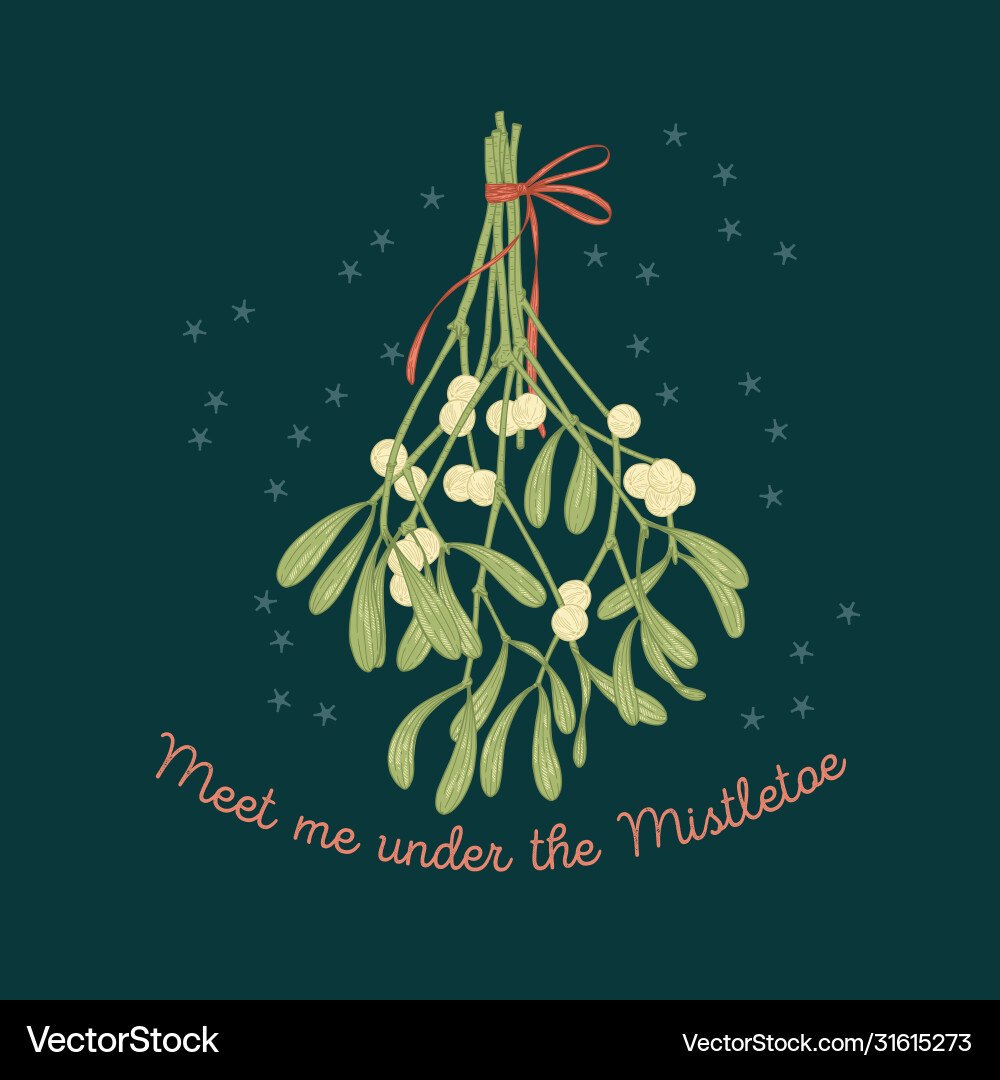 Mistletoe greeting card on dark background Vector Image