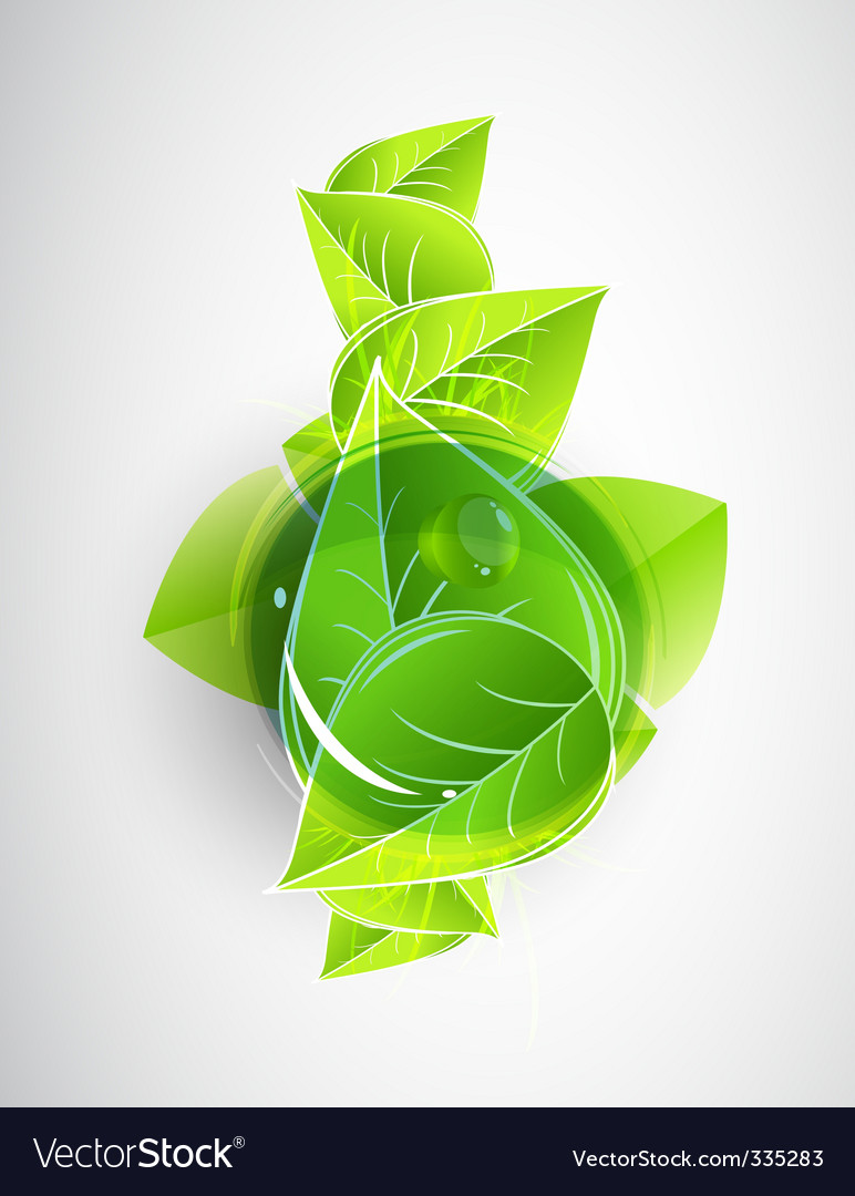 Natural elements background Royalty Free Vector Image