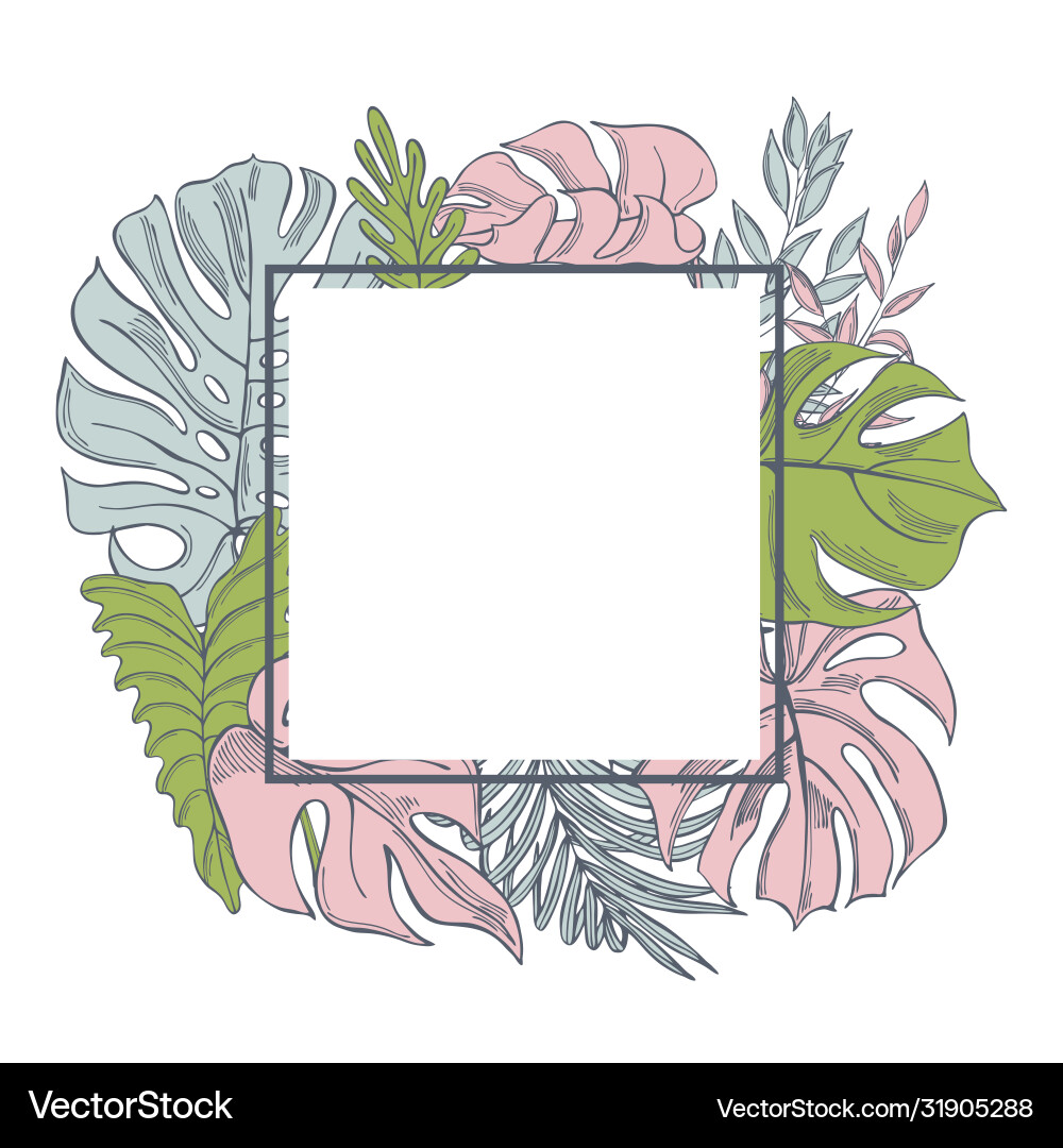 Frame with hand drawn tropical plants sketch Vector Image