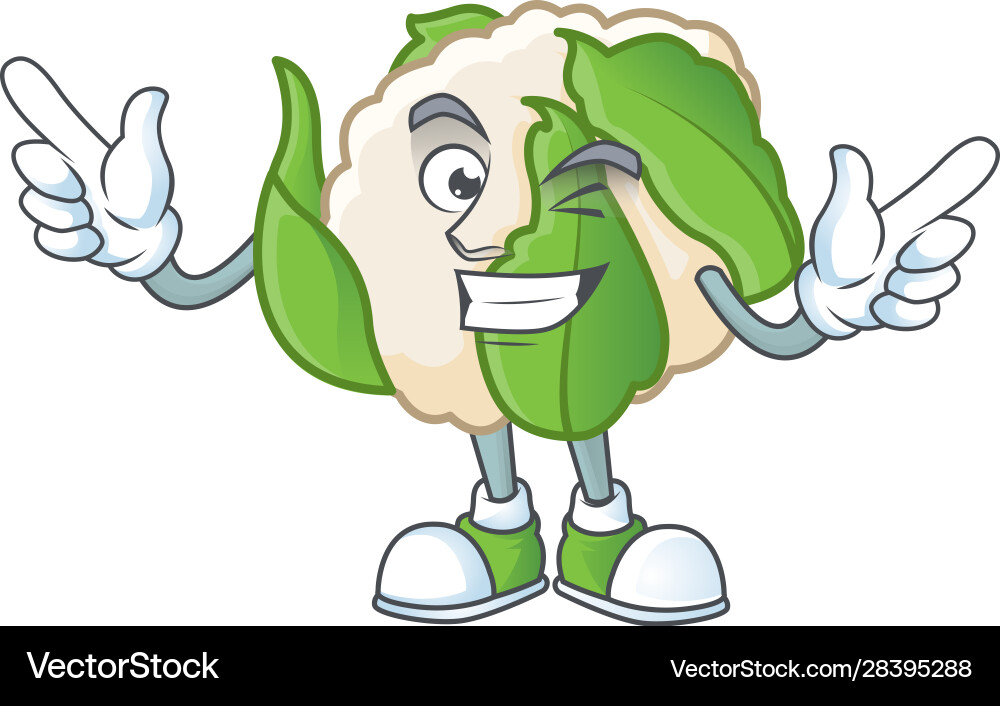 Funny cauliflower cartoon character style Vector Image