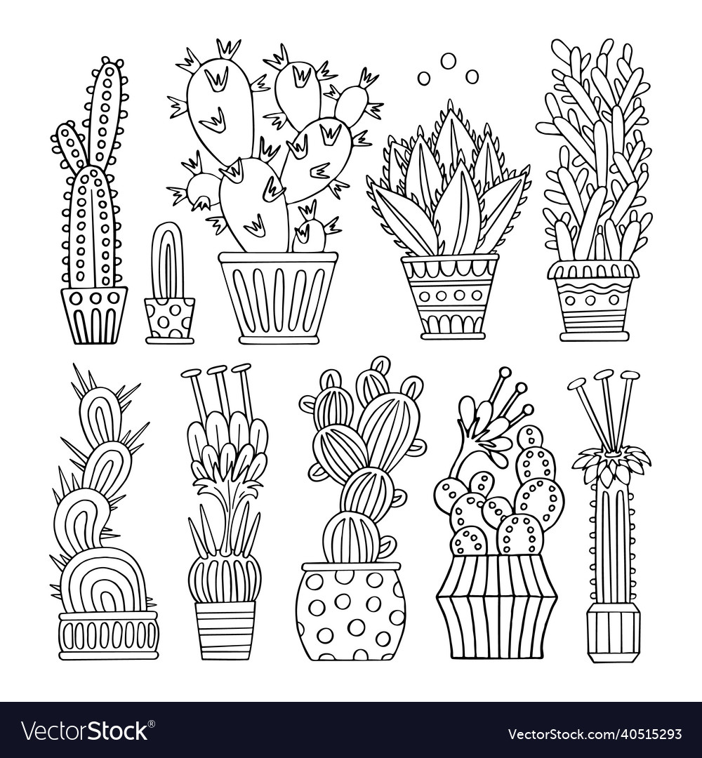 Coloring page set of indoor cacti flowers Vector Image