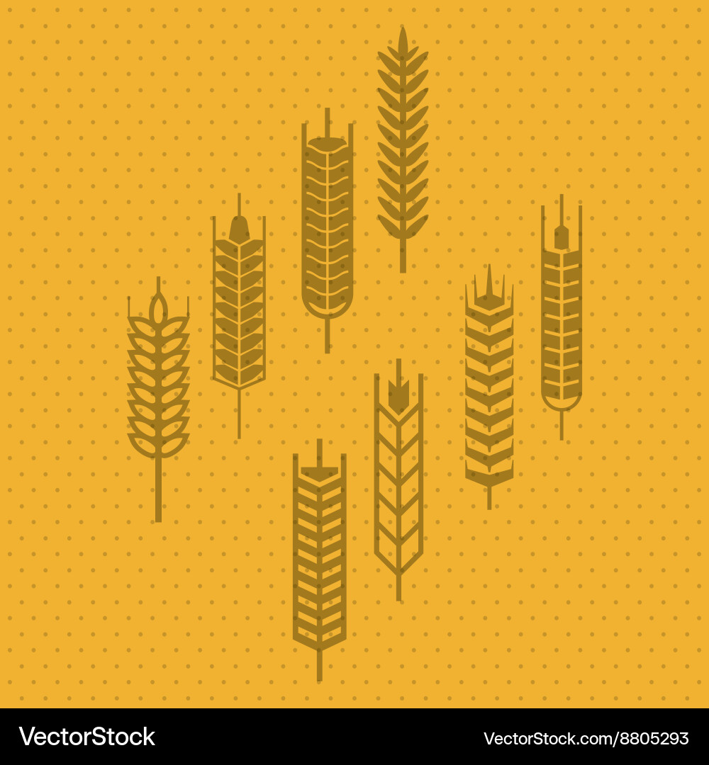 Wheat icon grain design agriculture concept Vector Image
