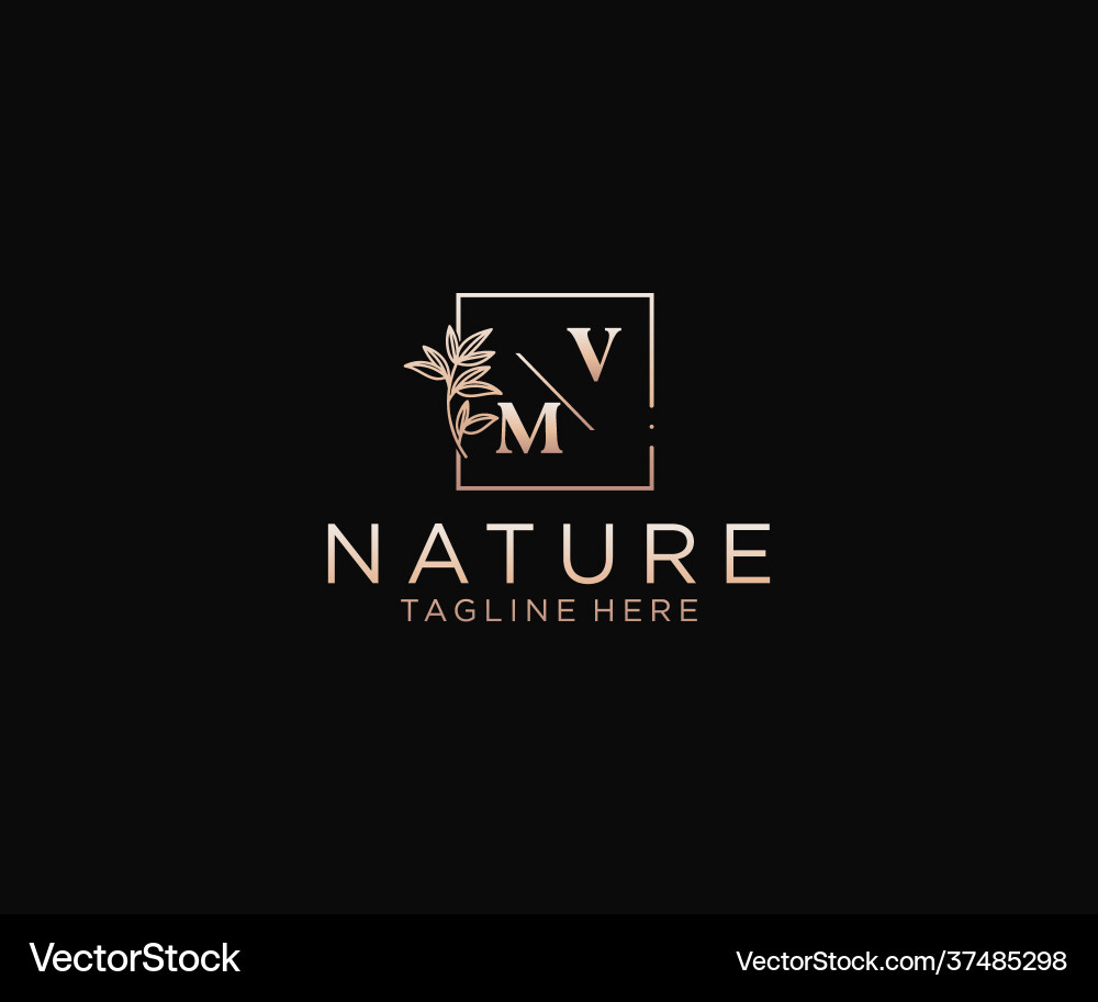 Initial vm letters beautiful floral feminine Vector Image