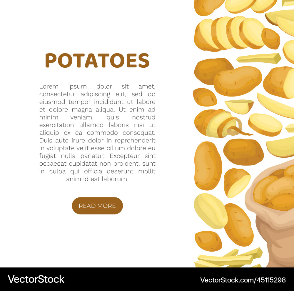 Potato design with raw root vegetable peel Vector Image
