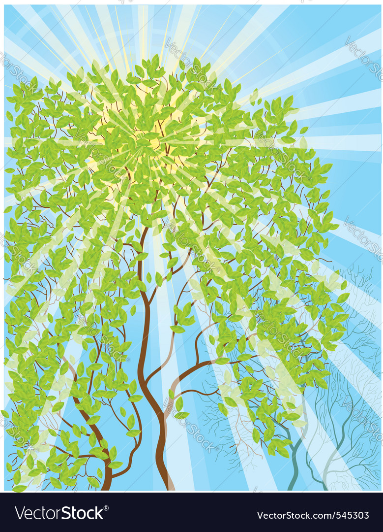 Sun rays Royalty Free Vector Image - VectorStock