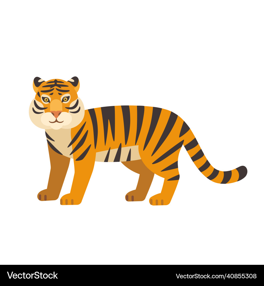 Cute wild tiger isolated on white background Vector Image
