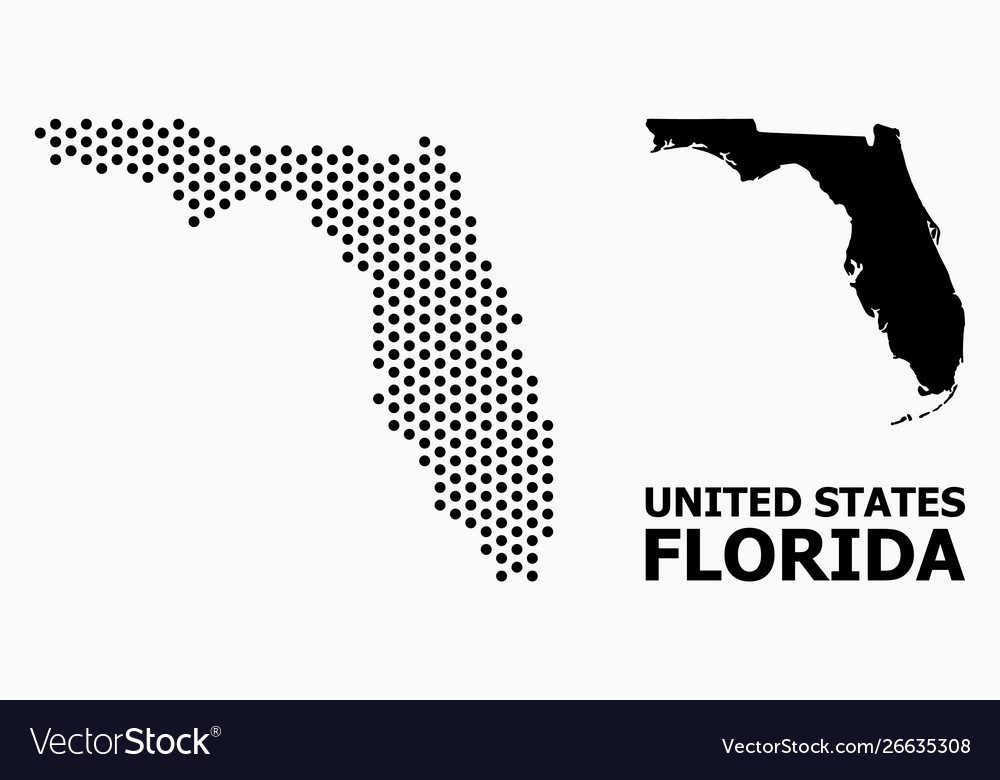 Dotted pattern map florida state Royalty Free Vector Image