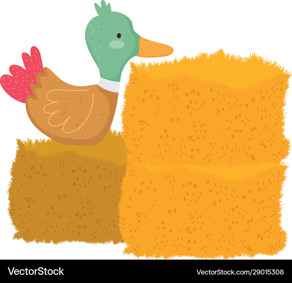 Duck on stack hay farm animal cartoon Royalty Free Vector