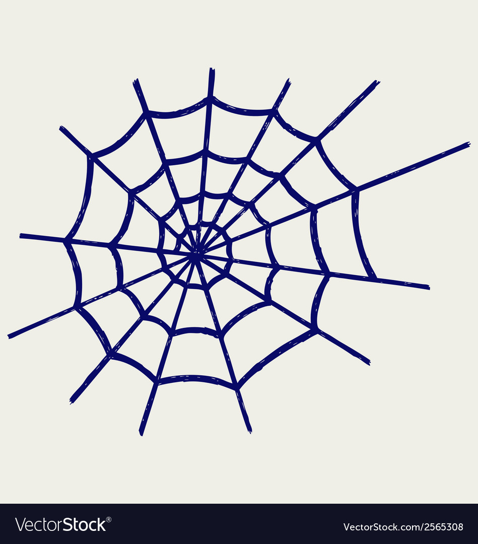 Spider net Royalty Free Vector Image - VectorStock