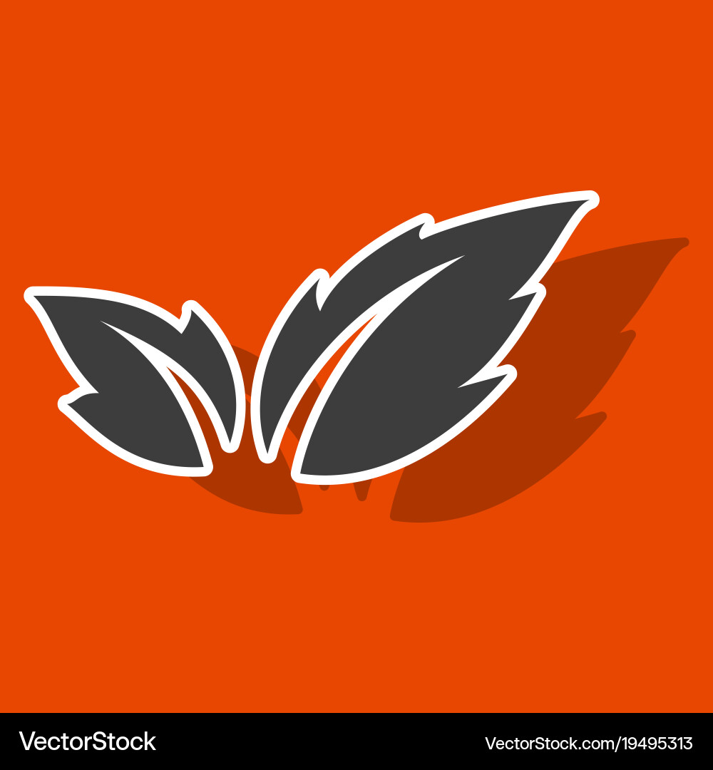 Fresh basil leaves icon sticker basil leaves Vector Image