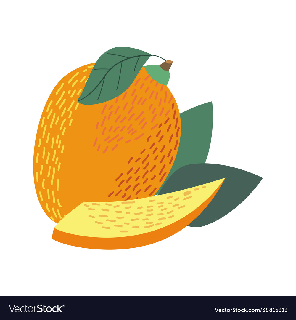 Mango fresh fruit Royalty Free Vector Image - VectorStock