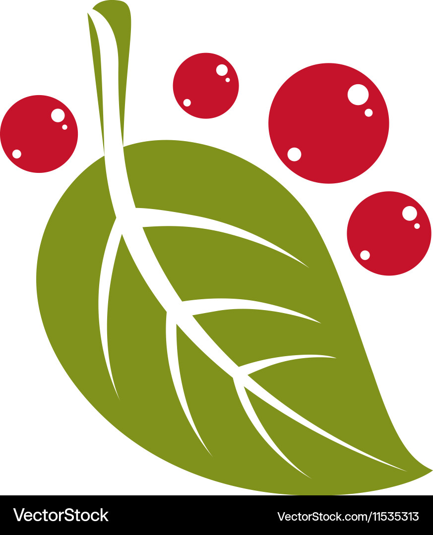Spring green leaf simple icon nature and gardening