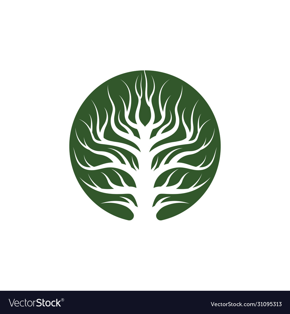 Tree icon logo template Royalty Free Vector Image