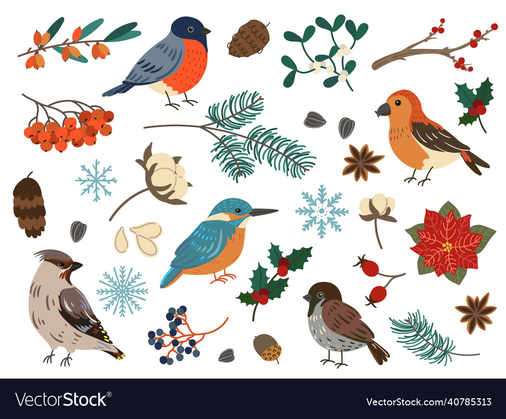Winter birds and botanical elements forest Vector Image