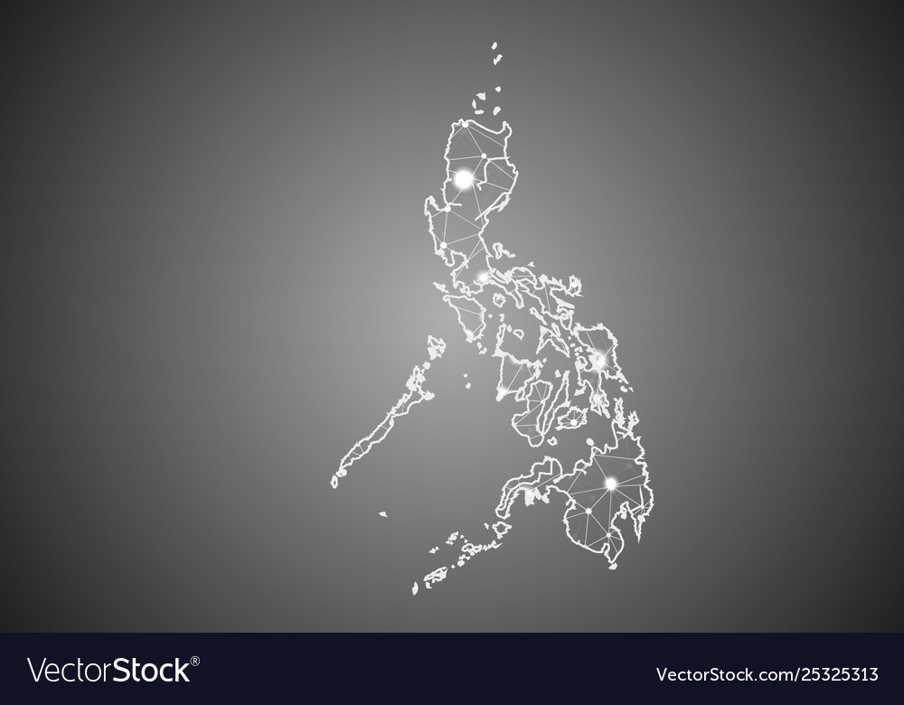 Wireframe mesh polygonal philippines map Vector Image